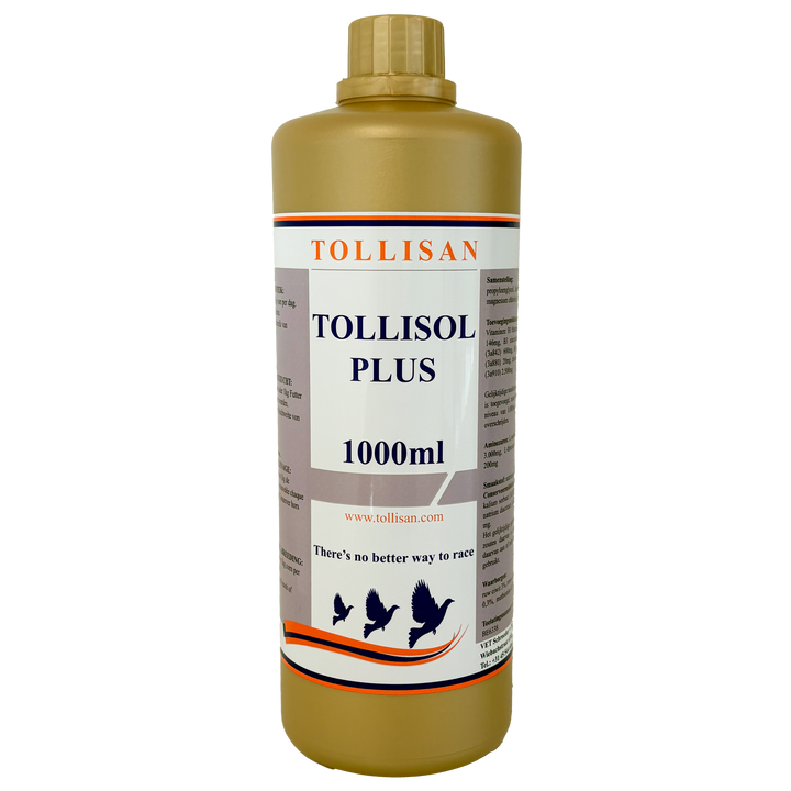 Schröder Tollisan Tauben – Andi´s Petshop